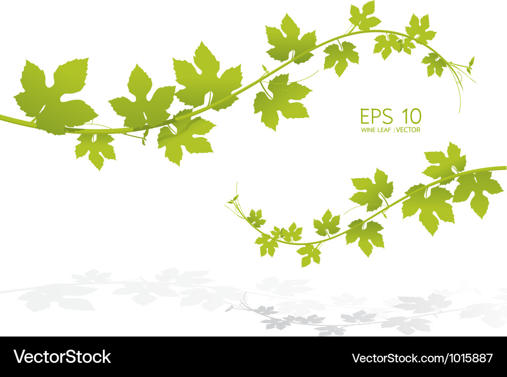 Green leaf background Royalty Free Vector Image