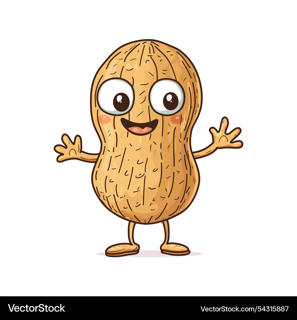 Peanut Royalty Free Vector Image - VectorStock