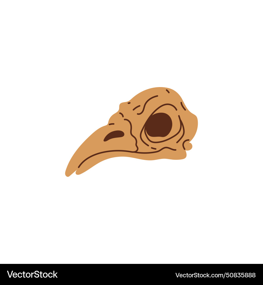 Bird skull cartoon icon eagle scull Royalty Free Vector