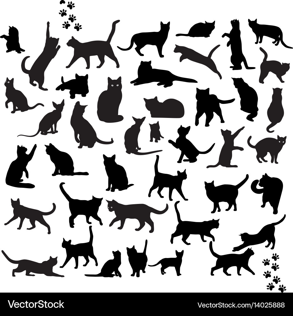 Cute Cat Portrait Royalty Free Vector Image - VectorStock