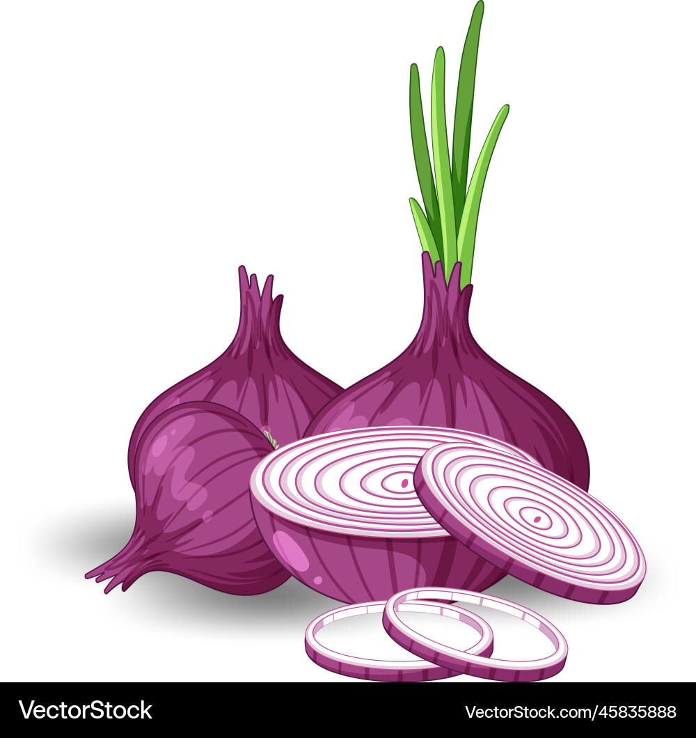 Isolated red onion cartoon Royalty Free Vector Image