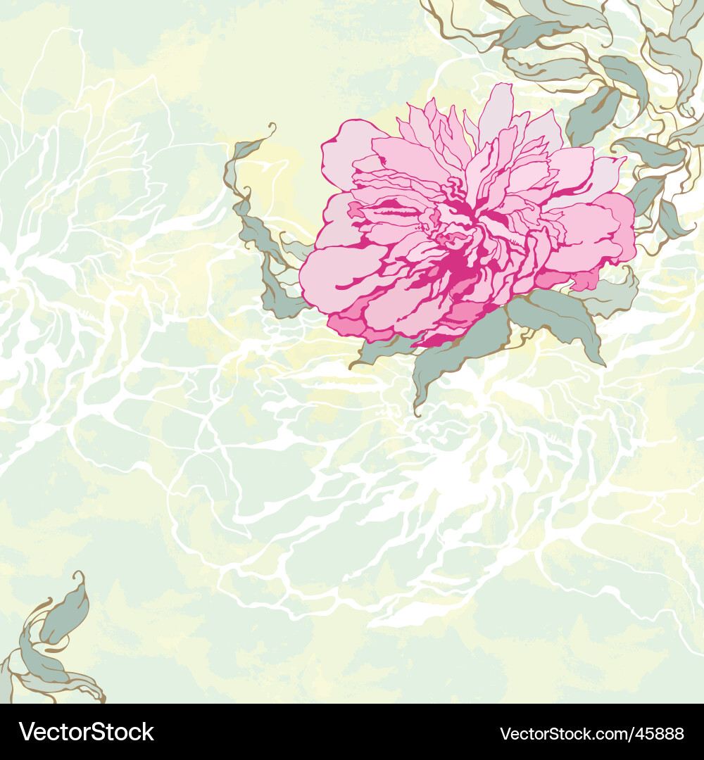 Peony Royalty Free Vector Image - VectorStock