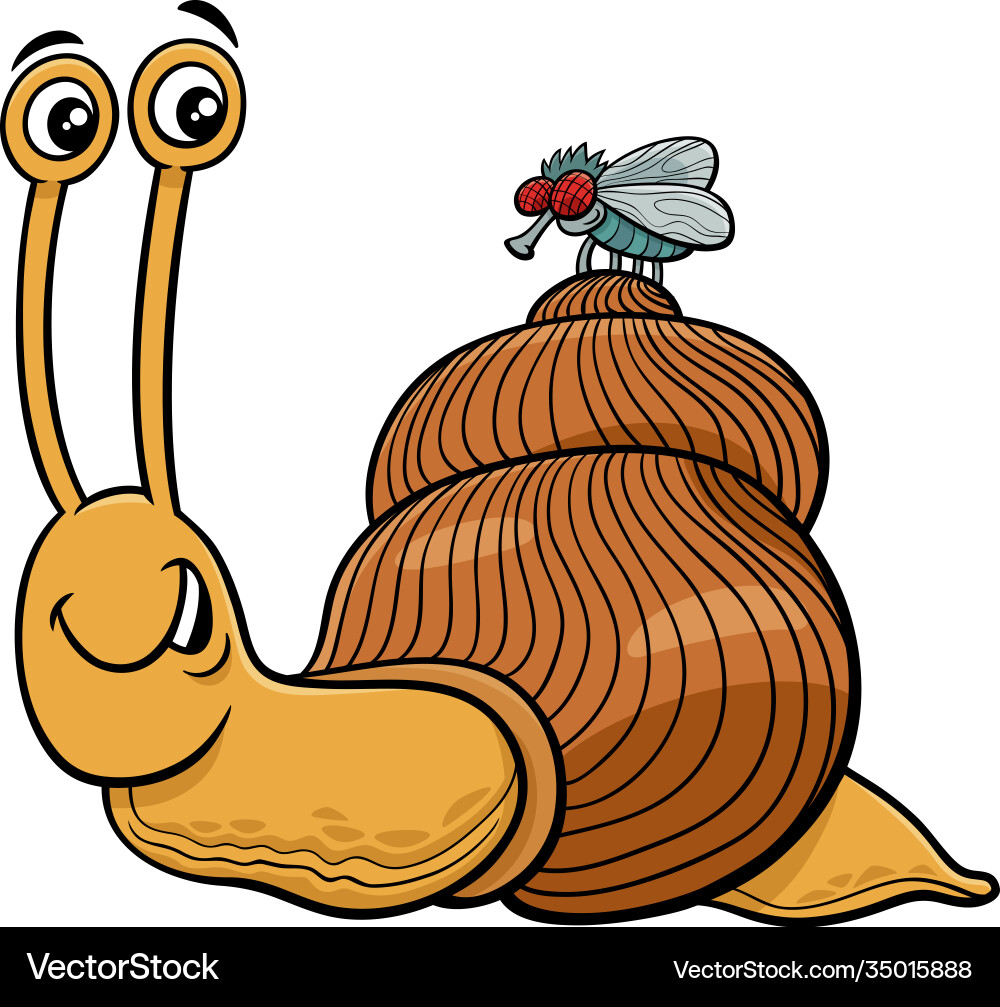 Snail and fly characters cartoon Royalty Free Vector Image