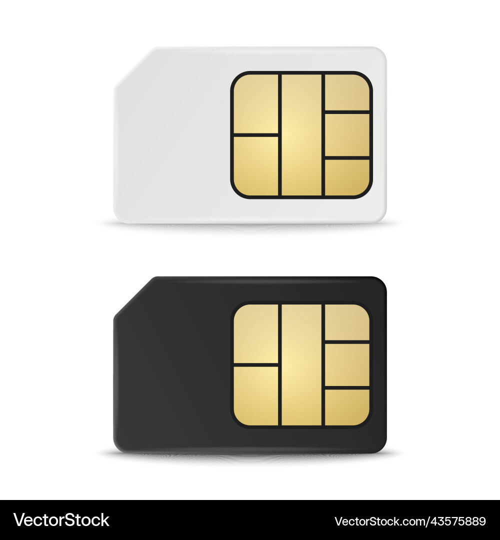 3d realistic white and black plastic sim Vector Image