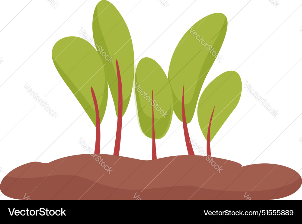 Young plants growing from ground soil gardening Vector Image