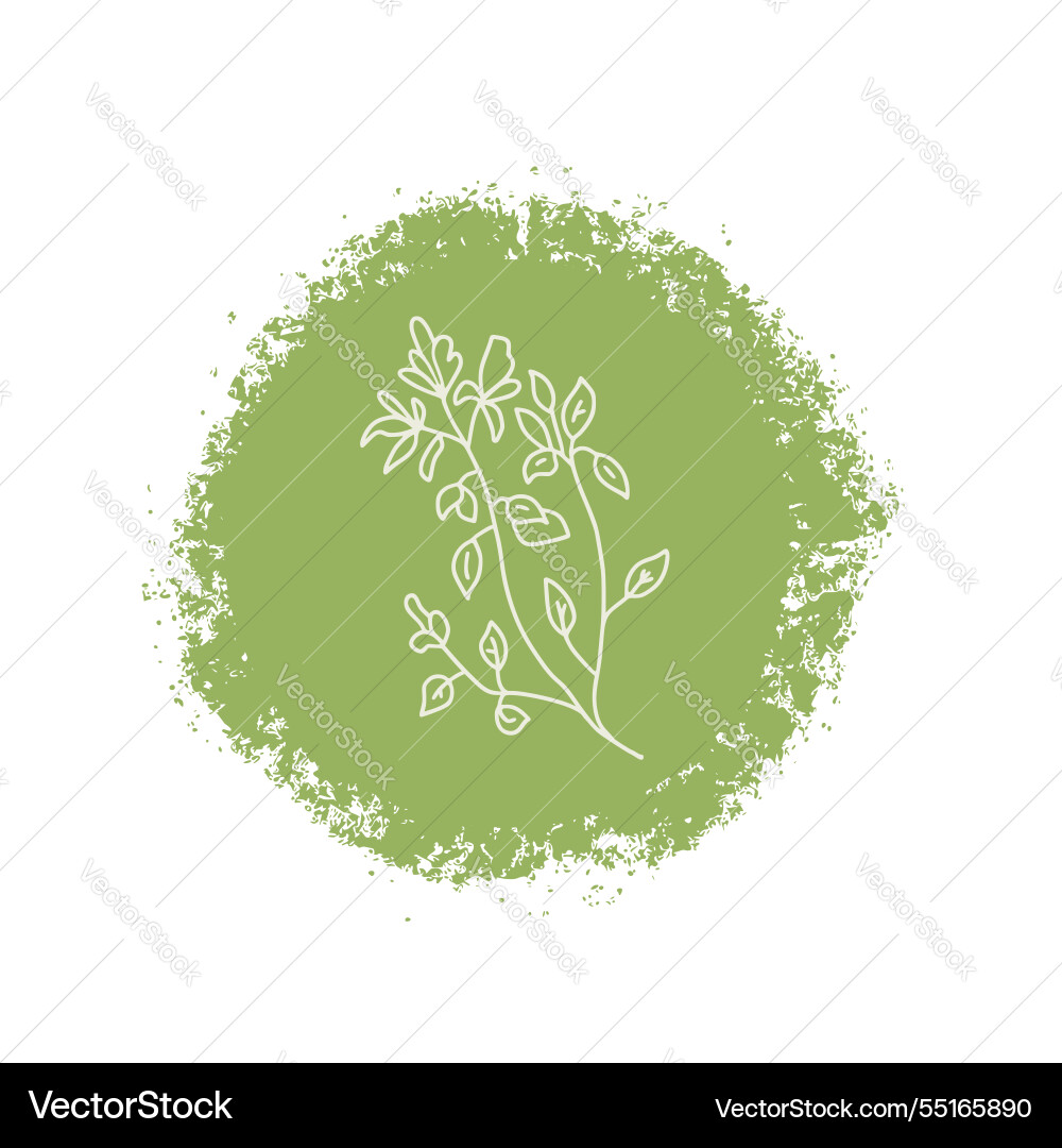 Oregano culinary herb label hand drawn badge Vector Image