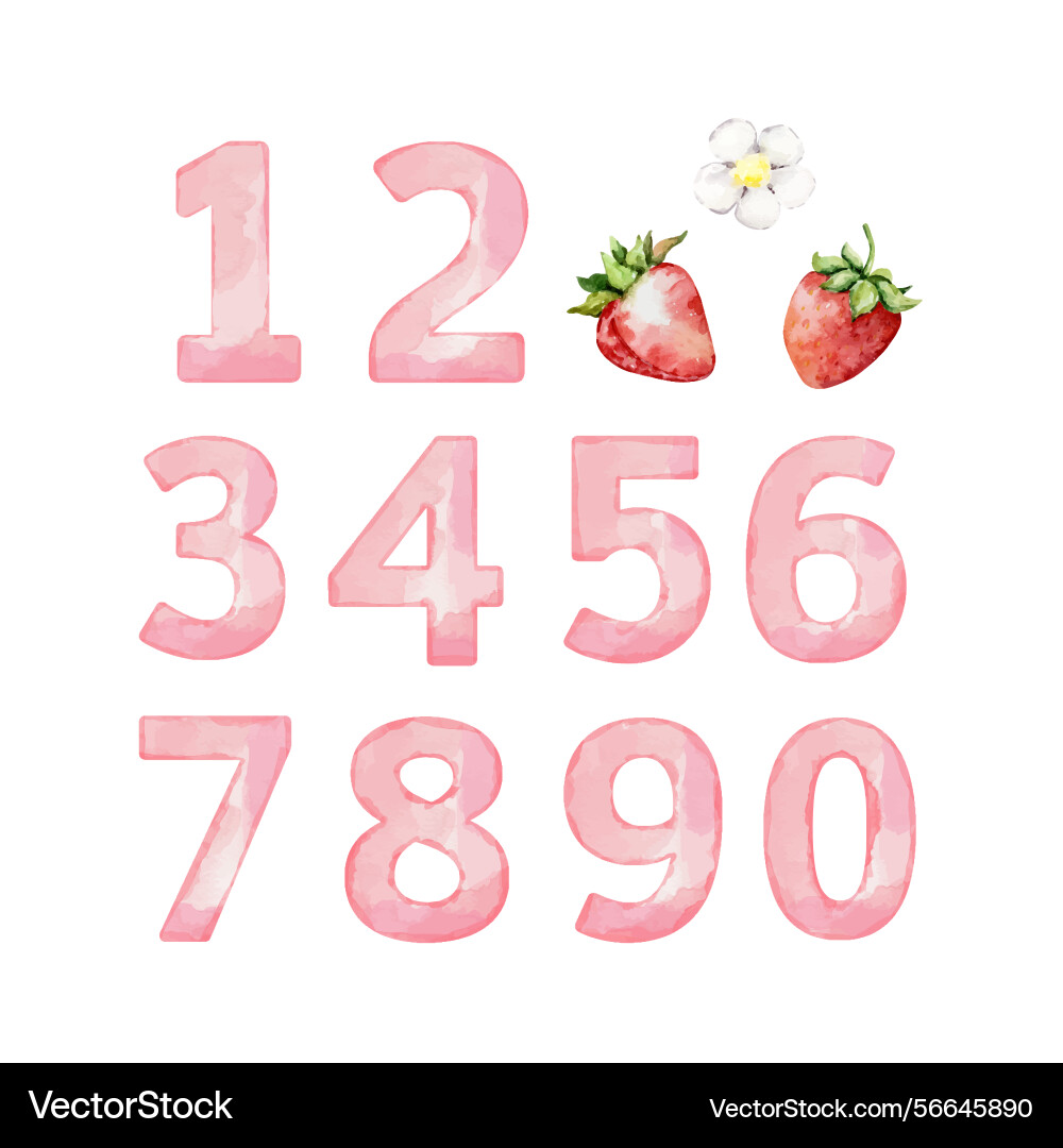 Watercolor pink numbers set with strawberry Vector Image