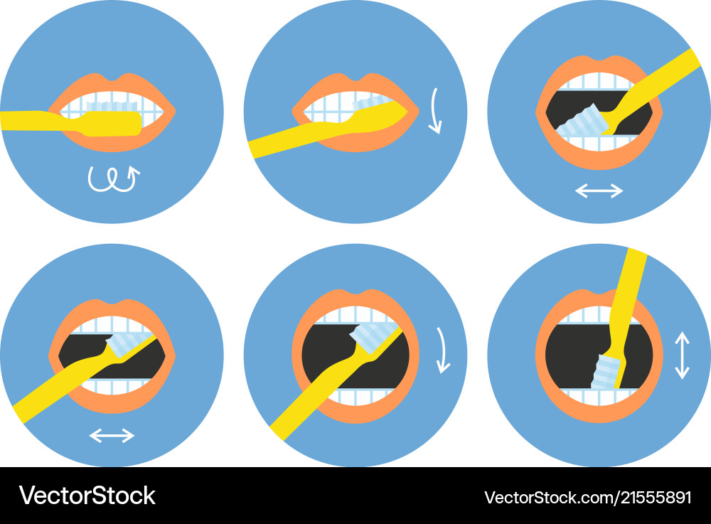 How to brush your teeth instructions 6 steps Vector Image