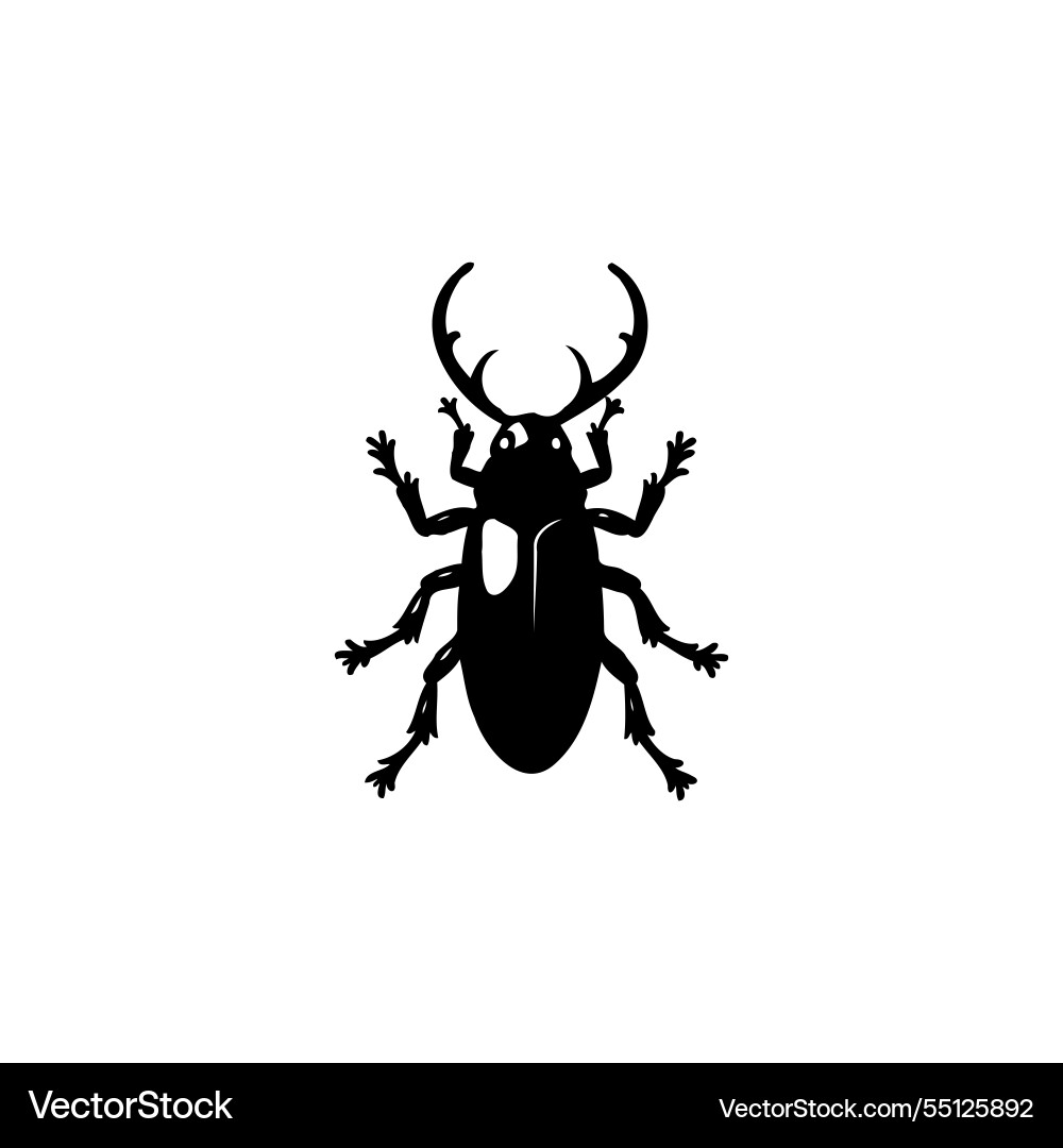 Black Beetle on White Background Royalty Free Vector Image