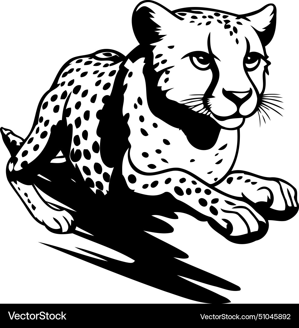 Cheetah Royalty Free Vector Image - VectorStock