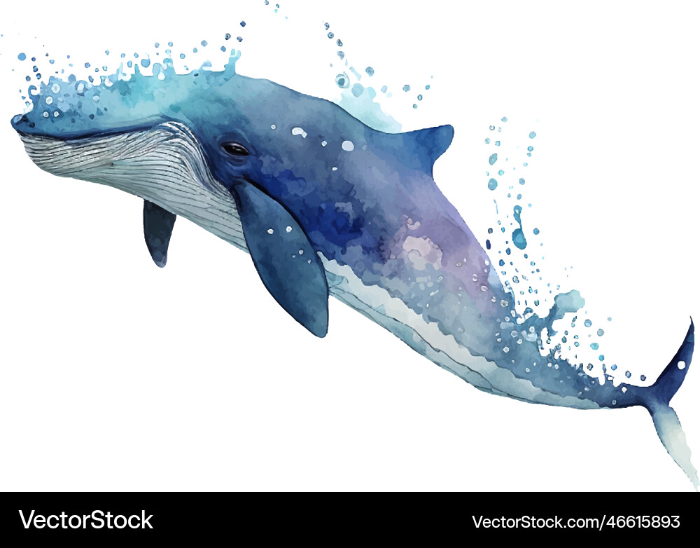 Blue whale art isolated on white background ocean Vector Image