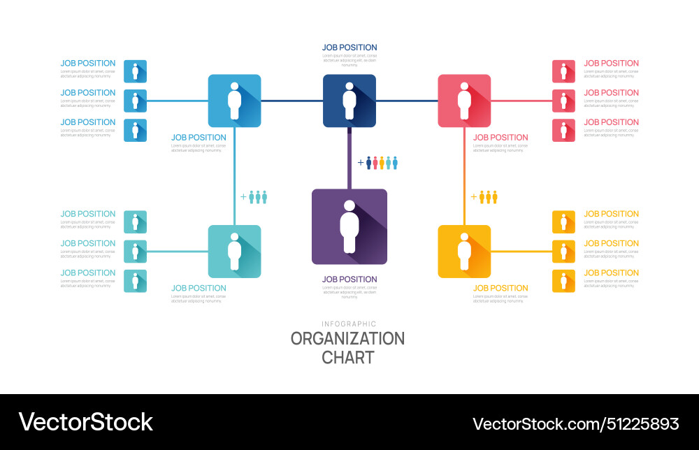 Infographic template for organization chart Vector Image