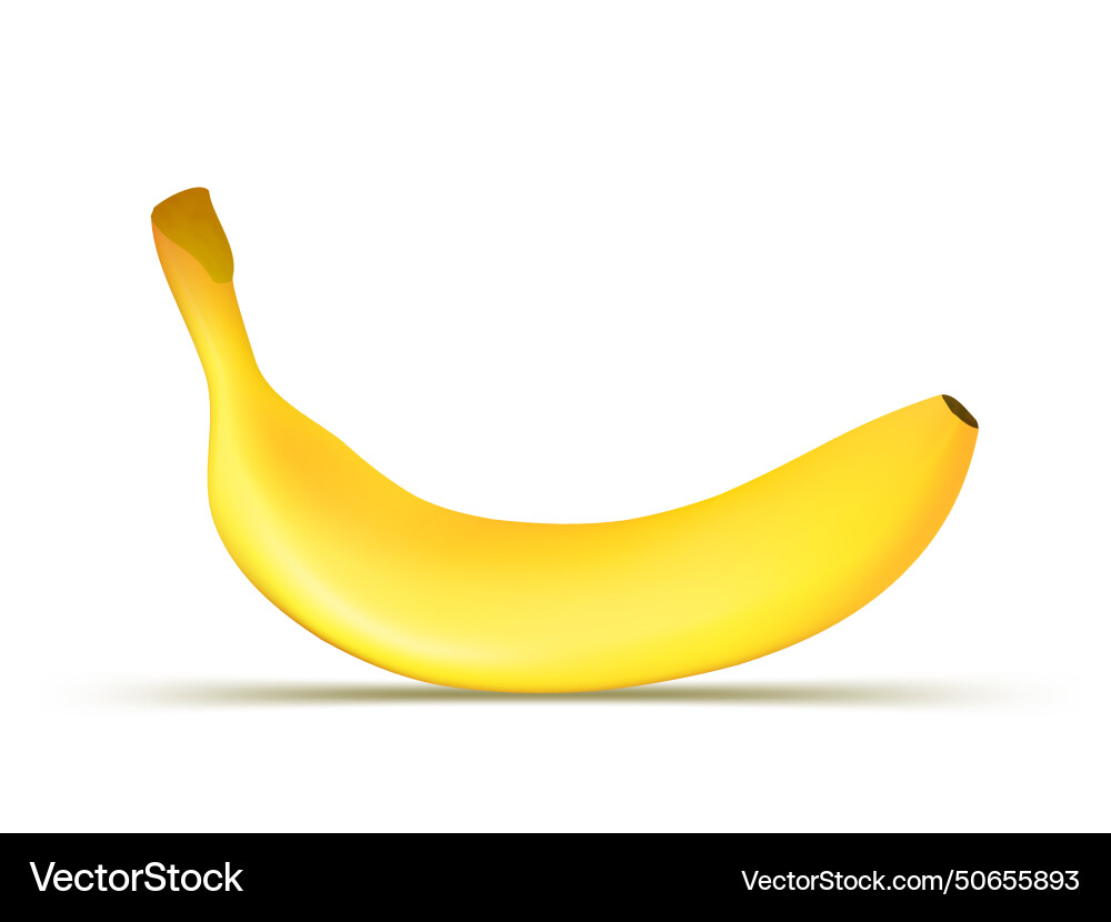 Realistic fresh banana isolated on white back Vector Image