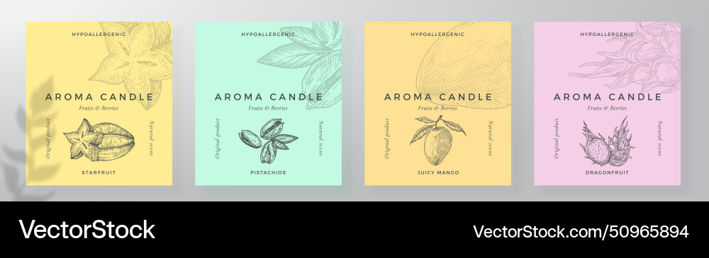 Aroma candle label design templates set scented Vector Image