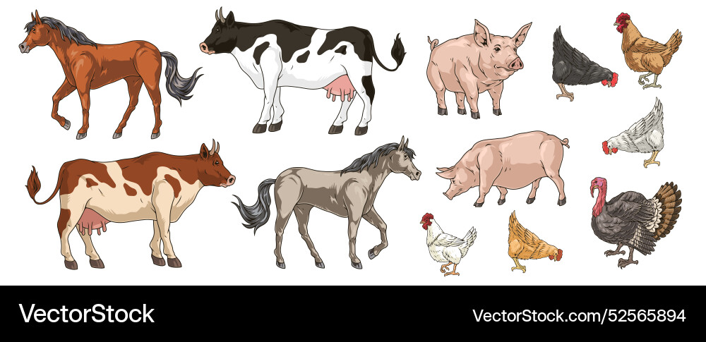 Cattle and poultry set stickers Royalty Free Vector Image