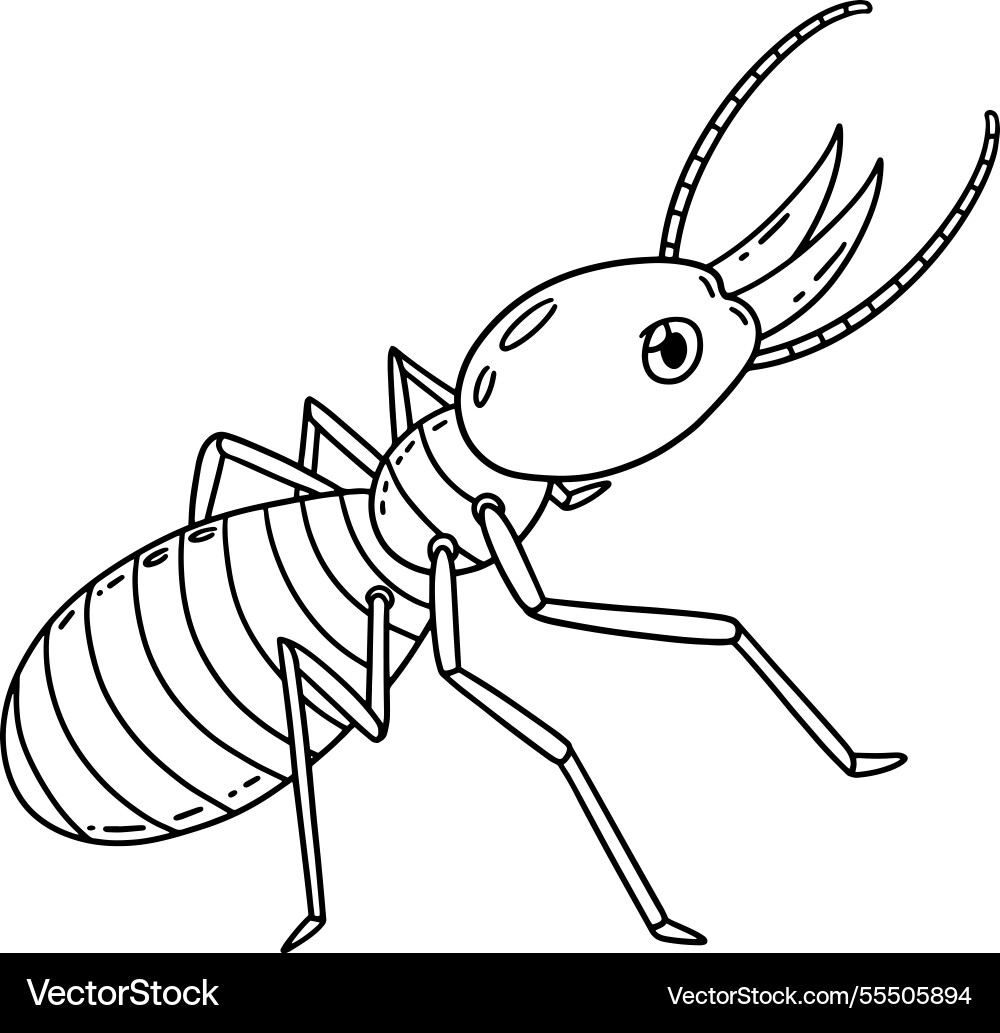 Insect termite animal isolated coloring page Vector Image