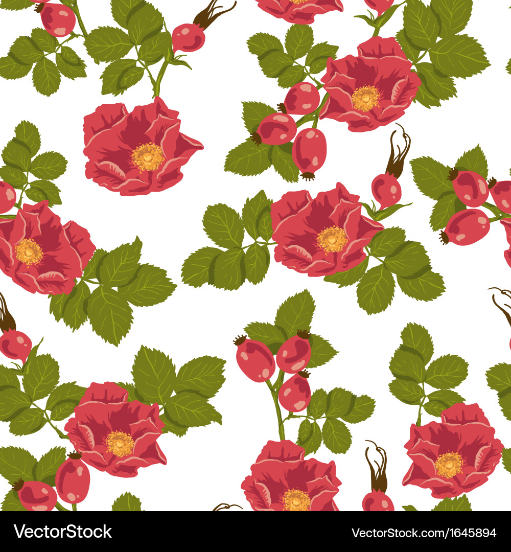Wild Rose Seamless Floral Pattern Royalty Free Vector Image