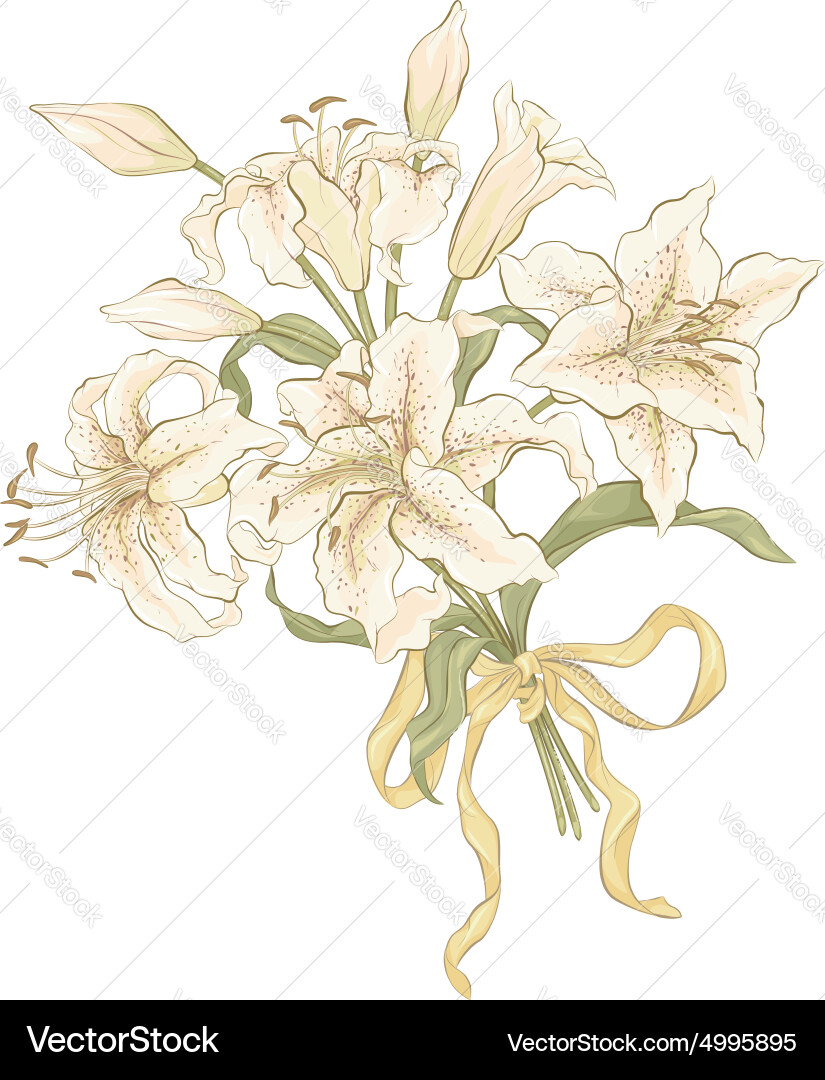 Elegant Lilies Bouquet Royalty Free Vector Image