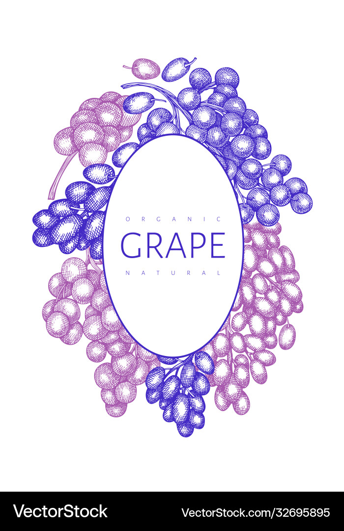 Grape design template hand drawn berry Royalty Free Vector