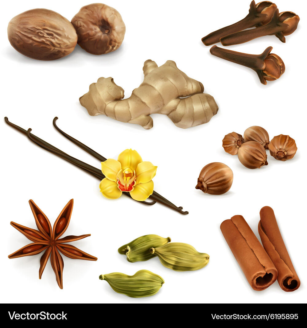 Spices icons set Royalty Free Vector Image - VectorStock