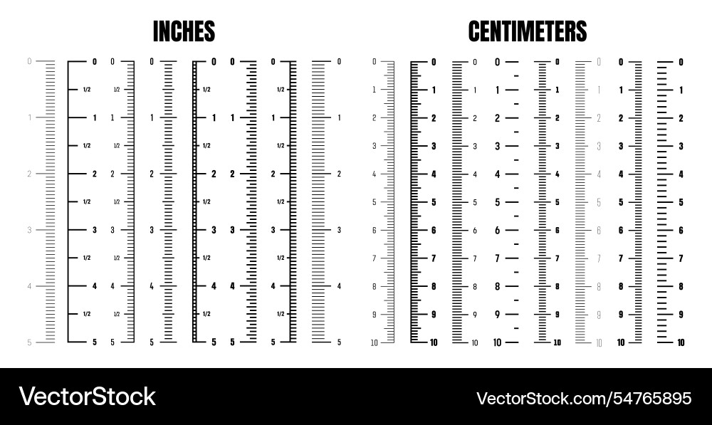 Vertical centimeter and inch scale for measuring Vector Image