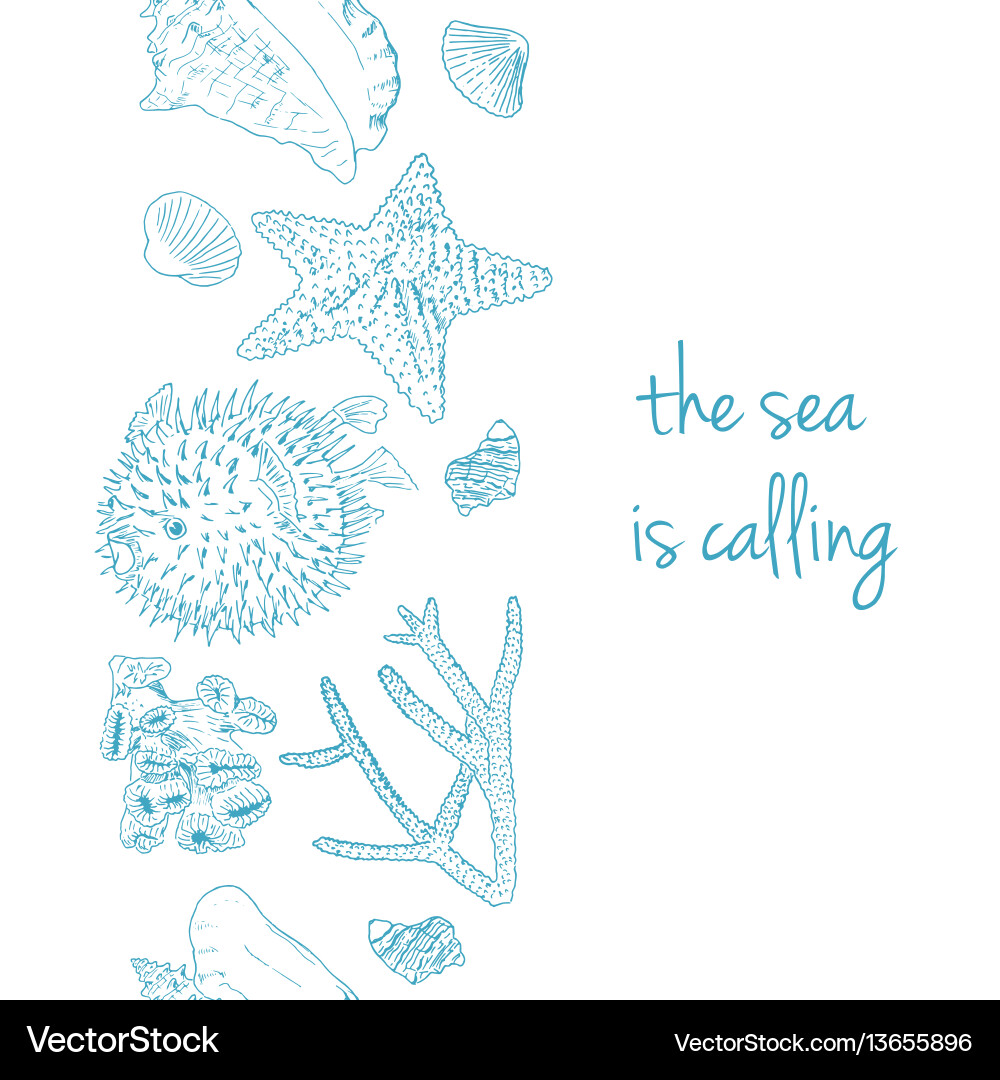 Sea is calling marine postcard with seashells Vector Image