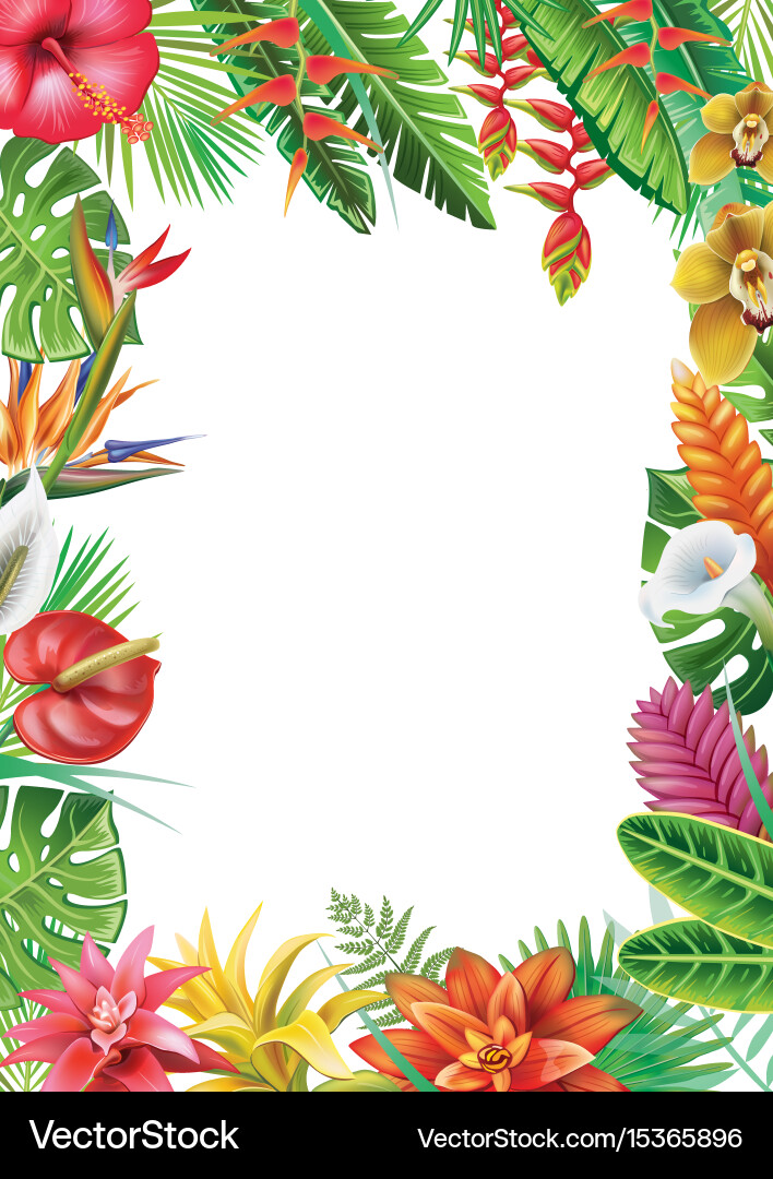 Tropical Floral Frame Royalty Free Vector Image