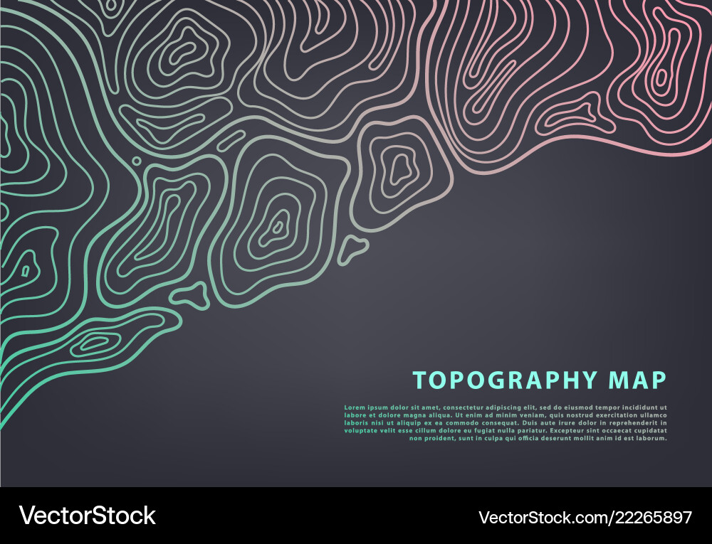 Abstract topography map banner topographic Vector Image