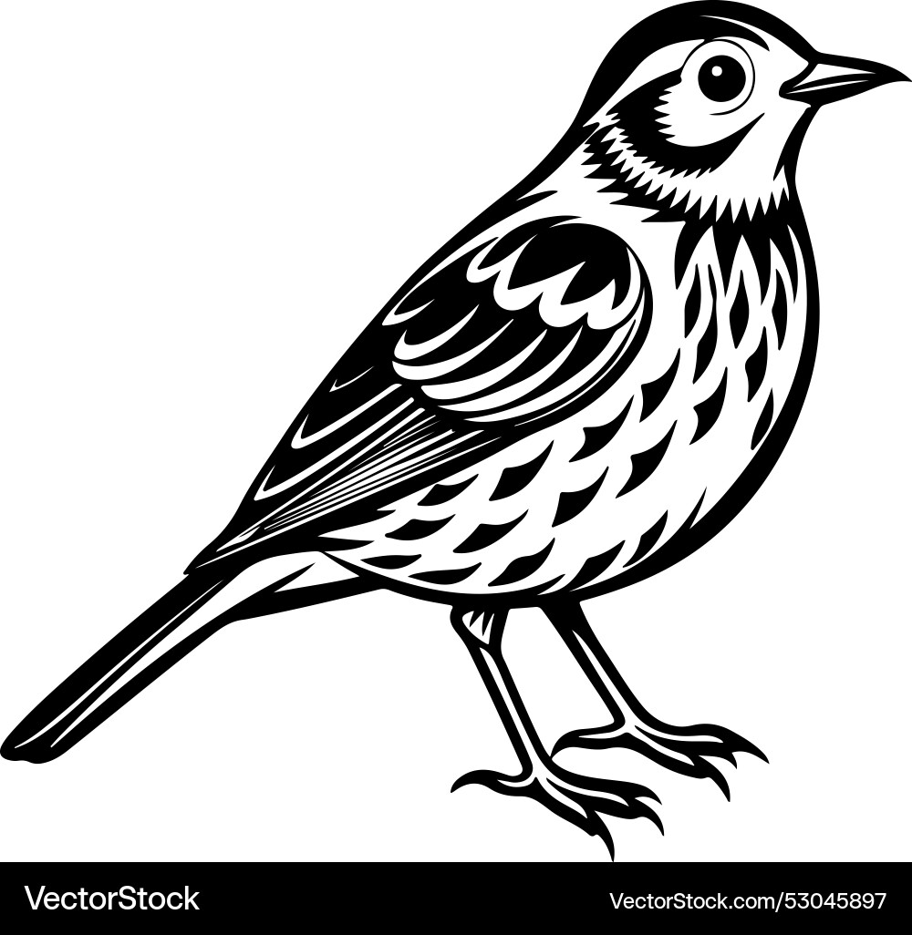 Bird silhouette art Royalty Free Vector Image - VectorStock