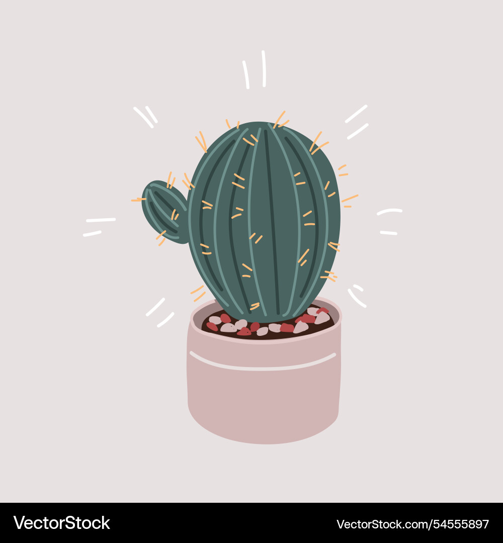 Cactus in pot Royalty Free Vector Image - VectorStock