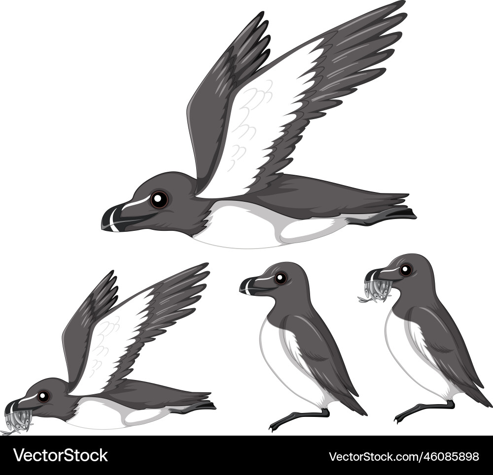 Magpie birds in cartoon style Royalty Free Vector Image