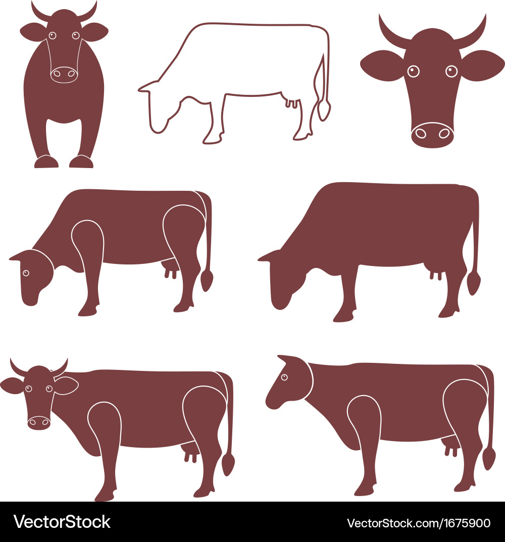 Cow Royalty Free Vector Image - VectorStock