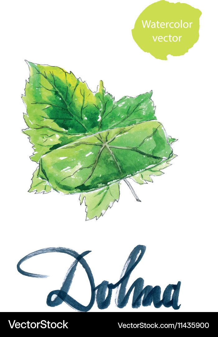 Dolma Royalty Free Vector Image - VectorStock