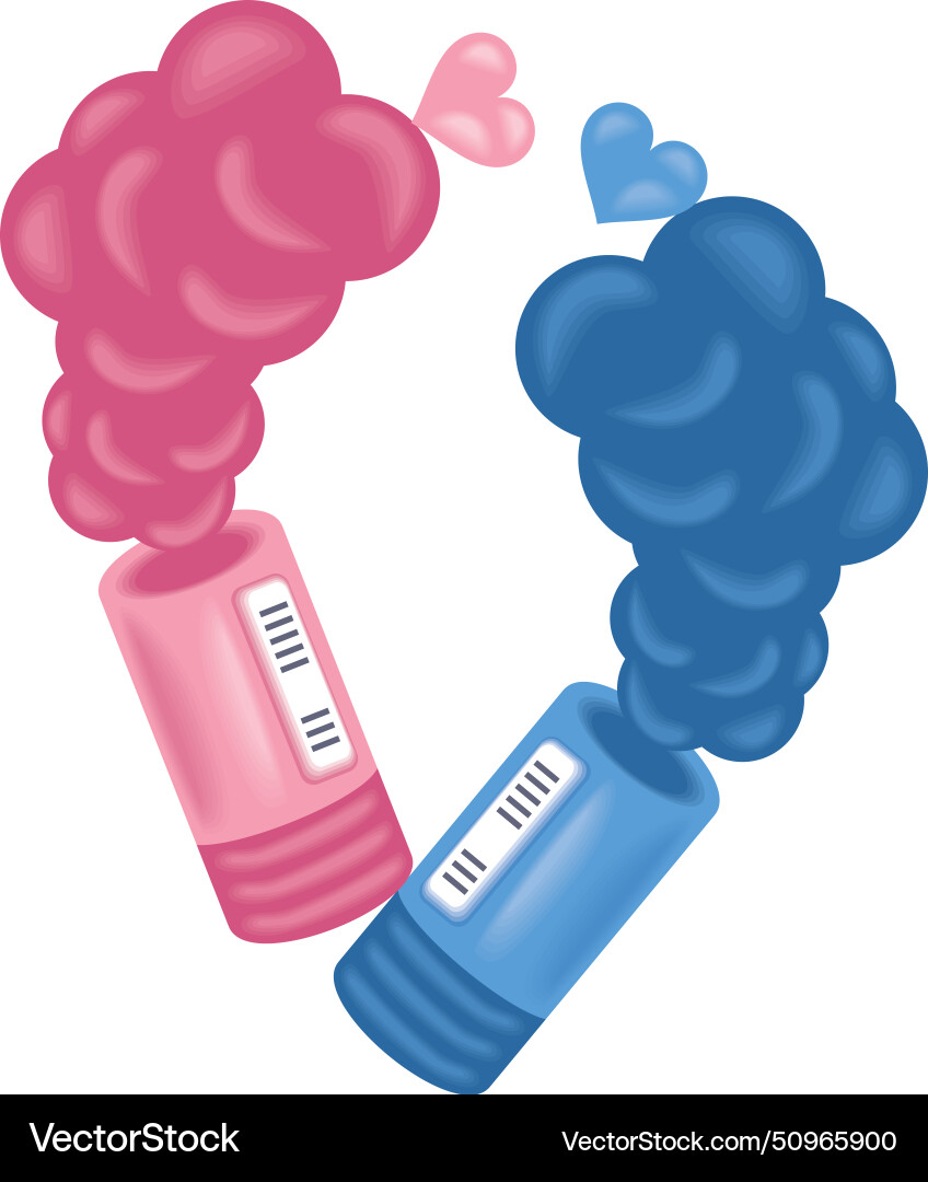 Gender reveal he or she Royalty Free Vector Image