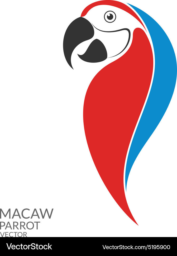 Parrot macaw Royalty Free Vector Image - VectorStock
