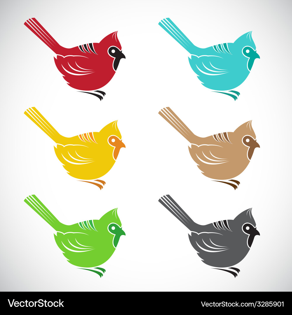 Angry Birds Set Royalty Free Vector Image - VectorStock