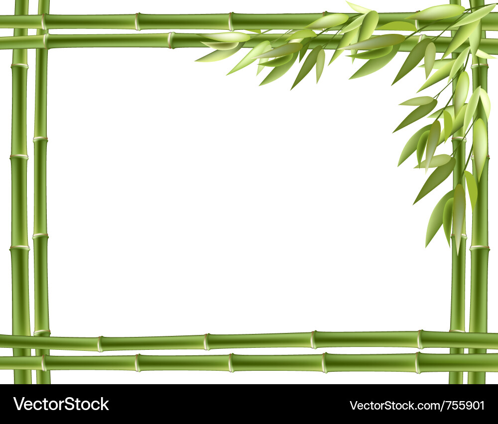 Bamboo Shoots Frames Vector Images (27)