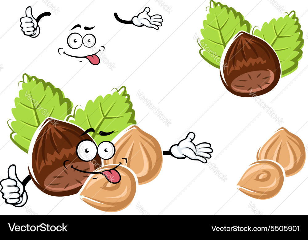 Cartoon whole and peeled hazelnut Royalty Free Vector Image