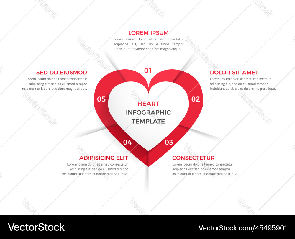 Heart infographics Royalty Free Vector Image - VectorStock