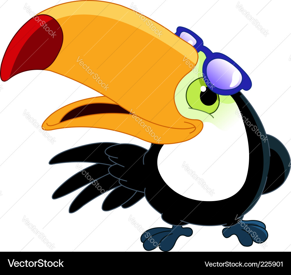 Toucan Royalty Free Vector Image - VectorStock