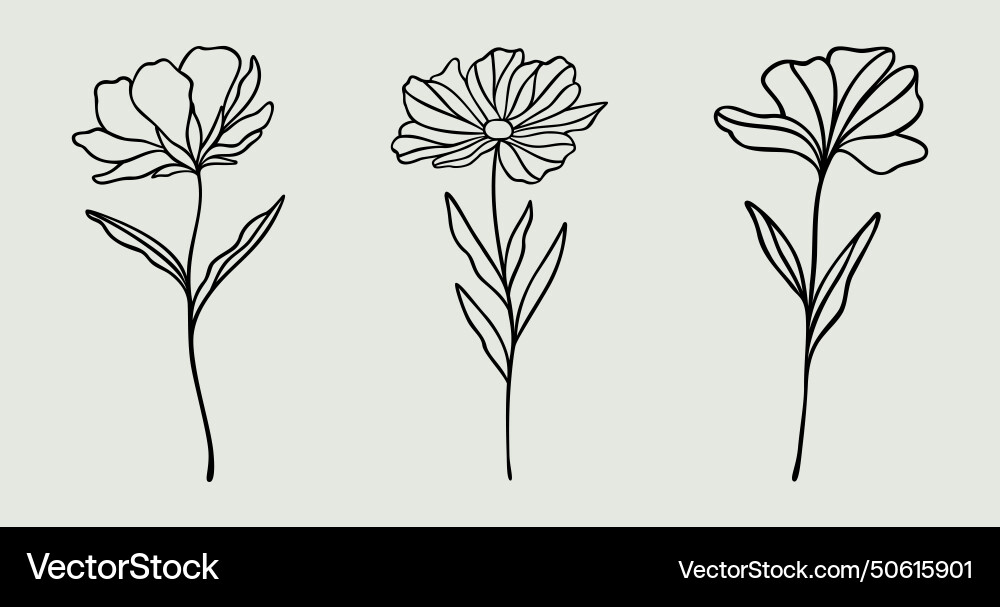 Wildflower line art bundle Royalty Free Vector Image