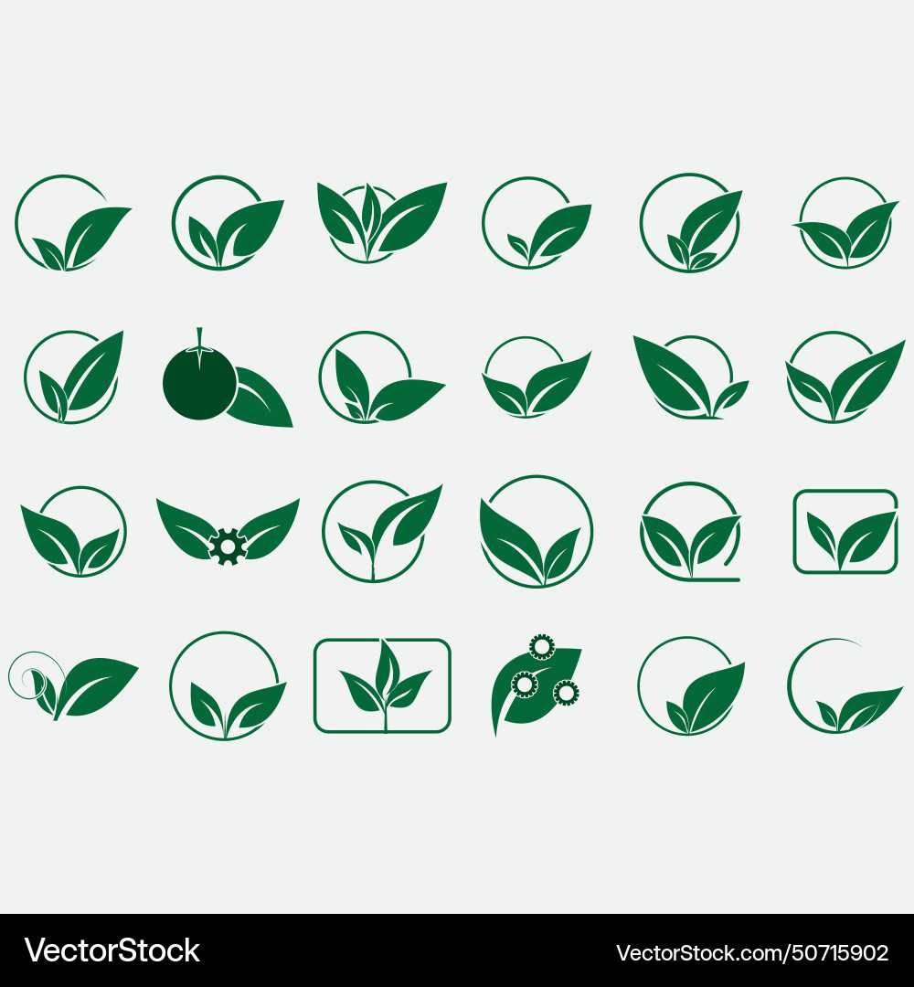 Collection of leaf logos Royalty Free Vector Image