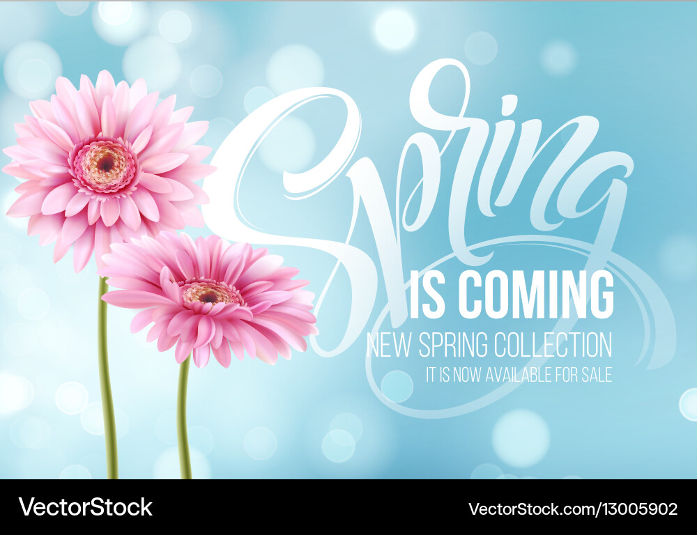Gerbera flower background and spring is coming Vector Image