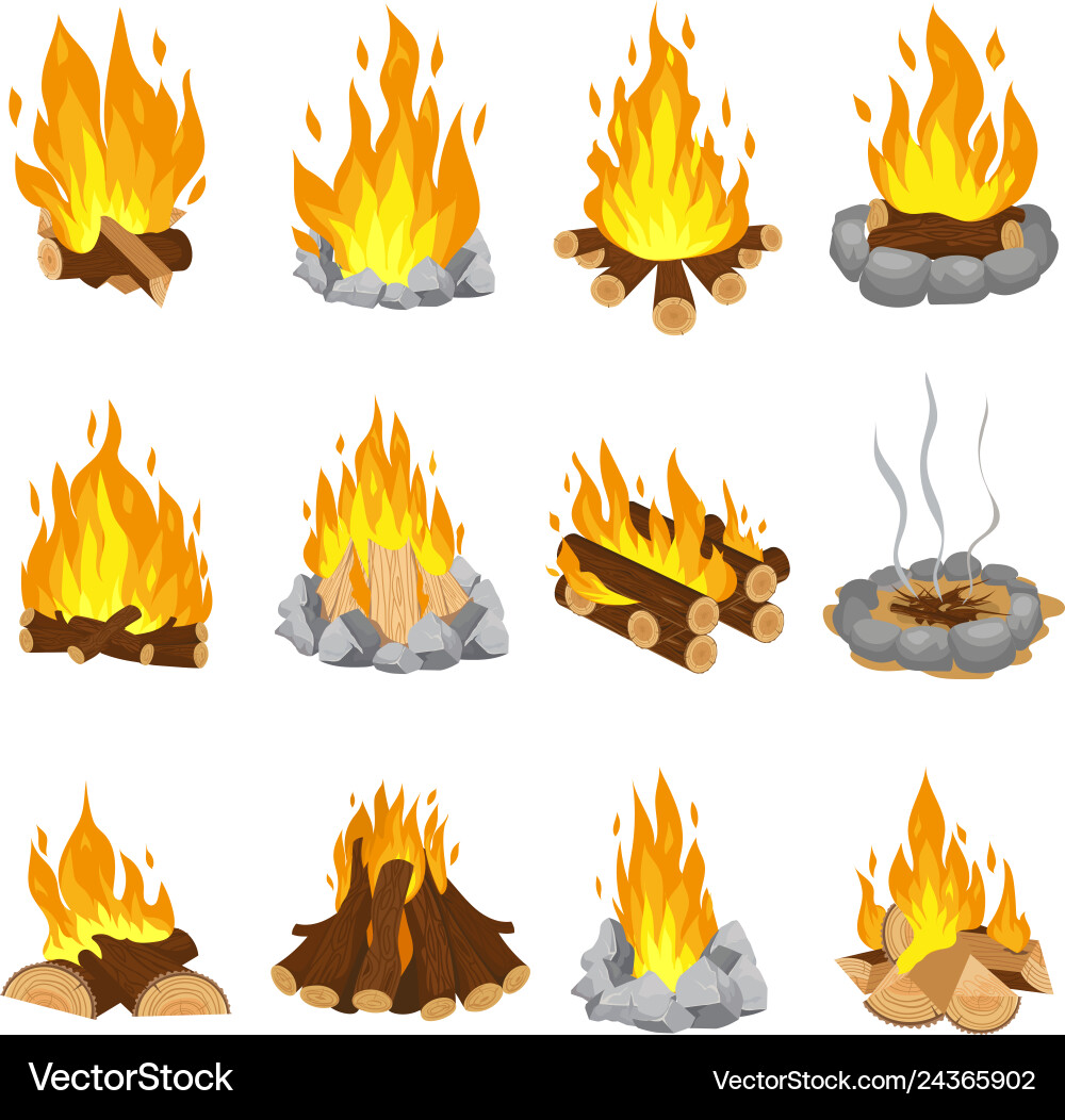 Wood campfire outdoor bonfire fire burning Vector Image