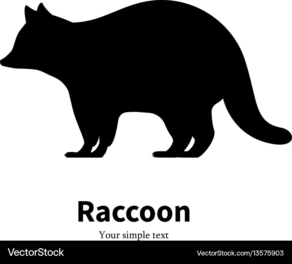 A black raccoon silhouette Royalty Free Vector Image