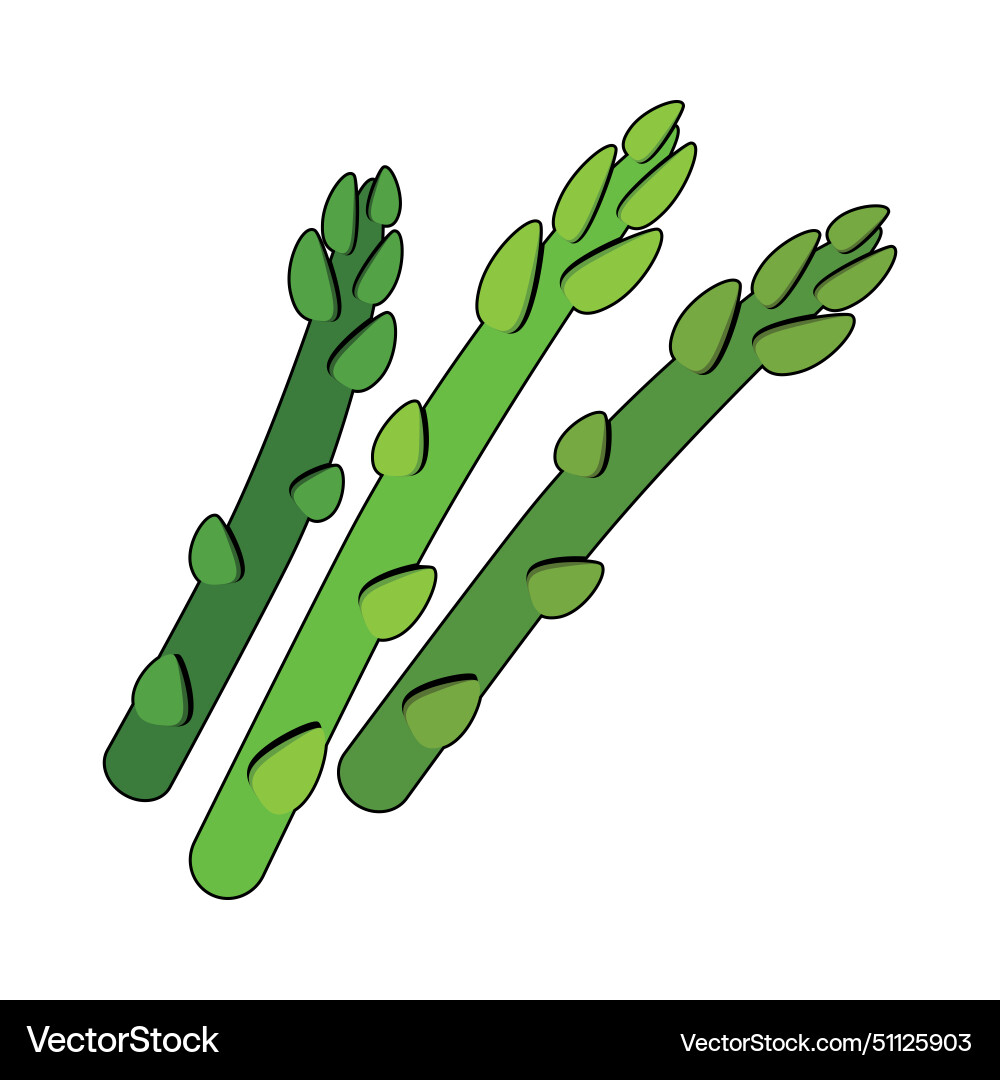 A colored asparagus icon with black outline Vector Image