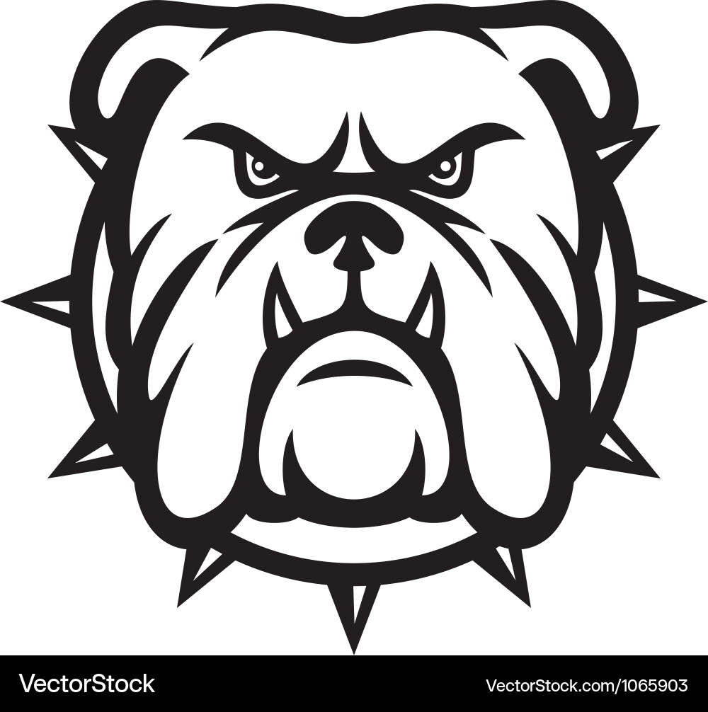 Angry Animal Faces Poster Wild Angry Gorilla Head Face Vector
