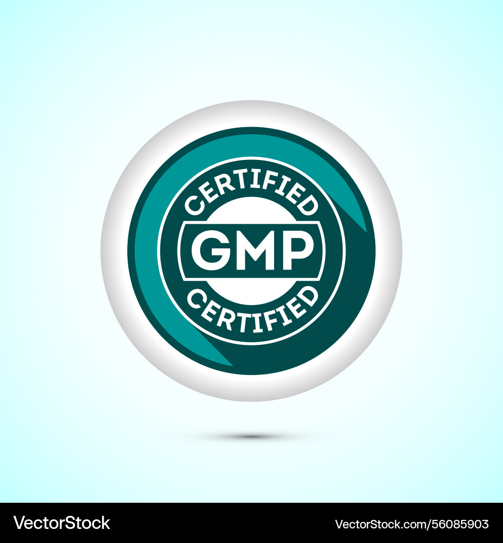 Gmp certified icon design good manufacturing Vector Image