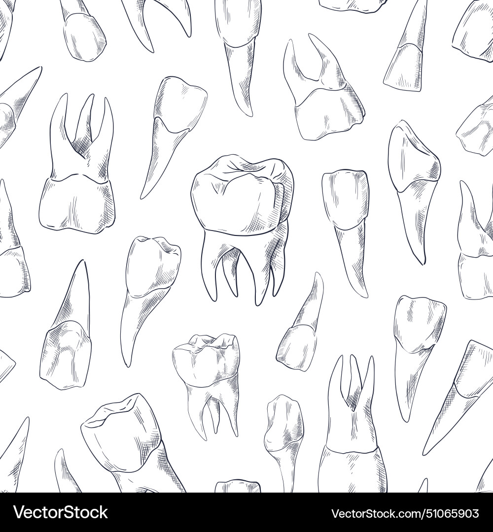 Teeth sketch pattern seamless print of hand drawn Vector Image