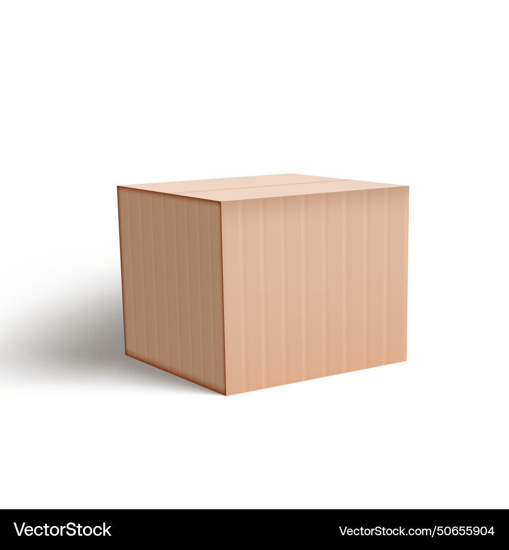 3d cardboard box isolated on white background Vector Image